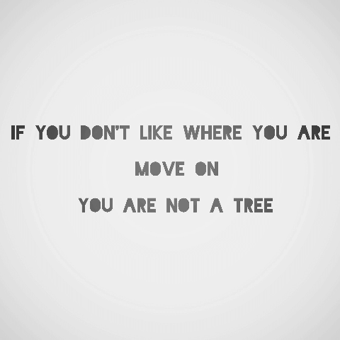 You are not a tree - Quiet Space Coaching